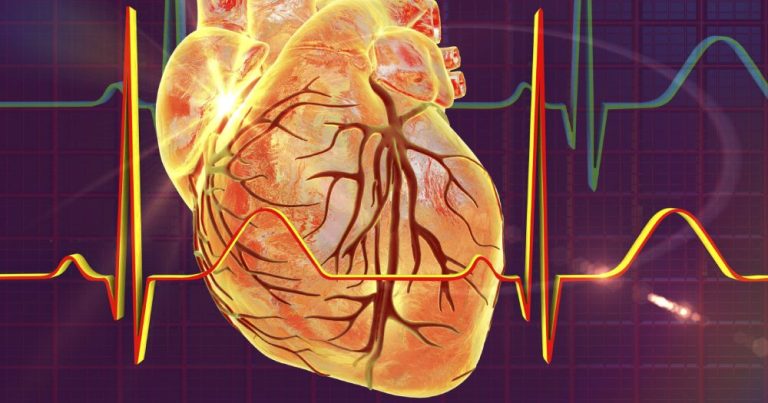 Researchers use AI to identify people with abnormal heart rhythms - DH Arab