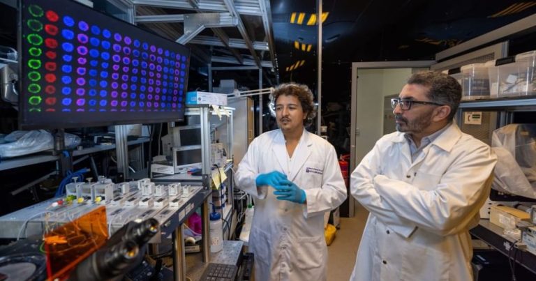 NYU Abu Dhabi researchers unveil low-cost technology to store tumor ...